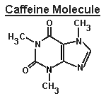 Neuroscience for Kids - Caffeine