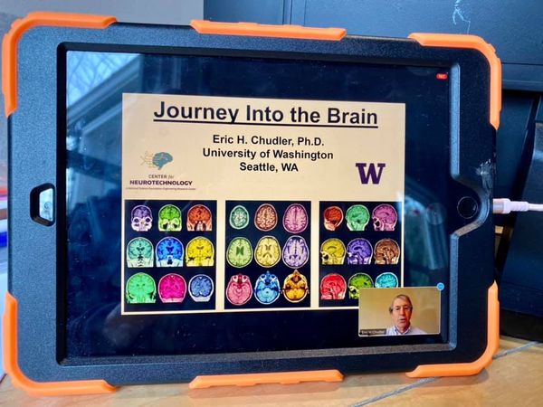 Neuroscience For Kids - brain awareness week