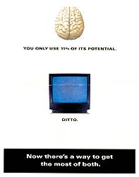 Neuroscience for Kids - Brain Advertising