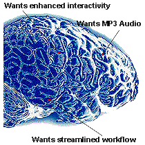 Neuroscience for Kids - Brain Advertising