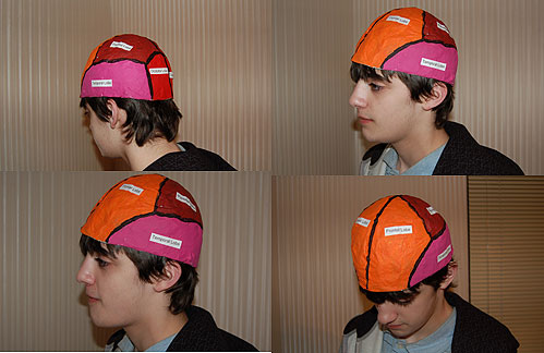 Neuroscience for Kids - Models